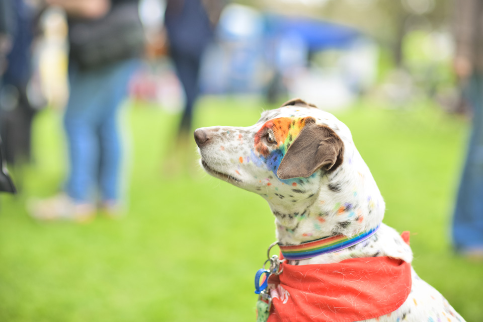 Andrew Yep Photographie | Melbourne : Revisited - Andrew Yep Photographie